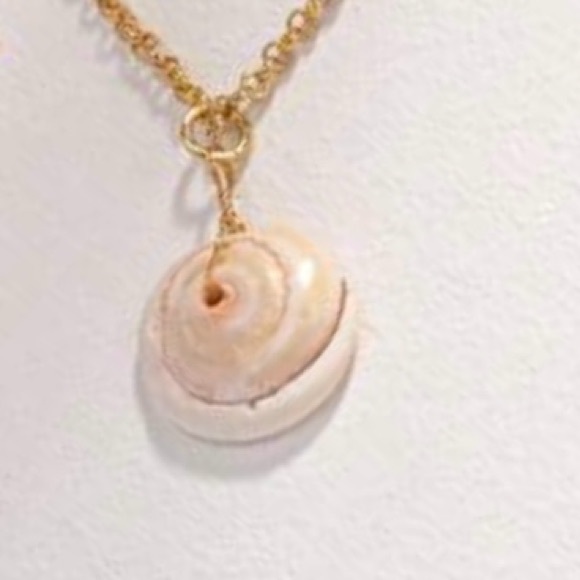 Jewelry | Mermaid Money Shiva Eye Shell Operculum Pacific Cats Eye Spiral Snail Necklace | Poshmark